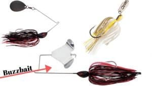 Chatterbait vs Spinnerbait vs Buzzbait: When To Use Each – Backcountry ...