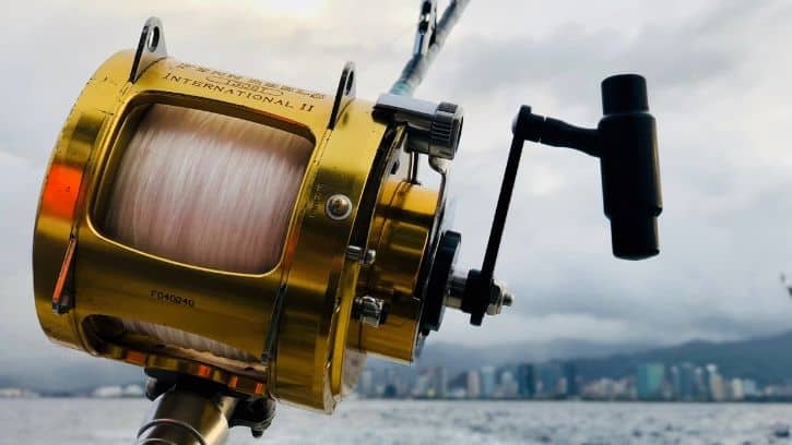 Deep Water Trolling: Best Way When You Don’t Have Downriggers ...